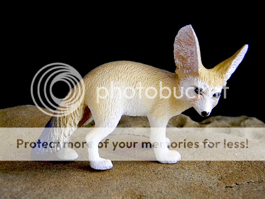 Fennec Fox ( CollectA Wildlife)
