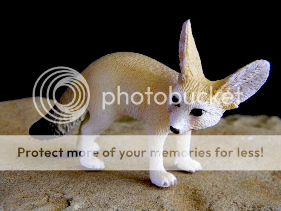Fennec Fox ( CollectA Wildlife)