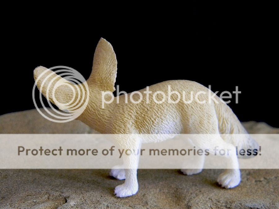 Fennec Fox ( CollectA Wildlife)