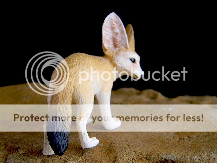 Fennec Fox ( CollectA Wildlife)