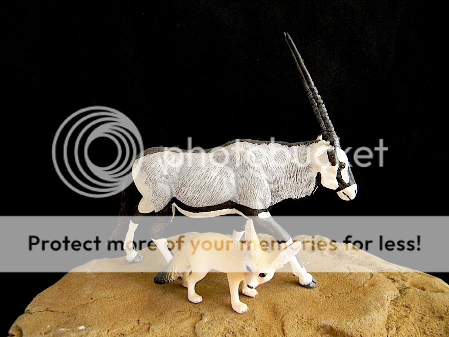 Fennec Fox ( CollectA Wildlife)